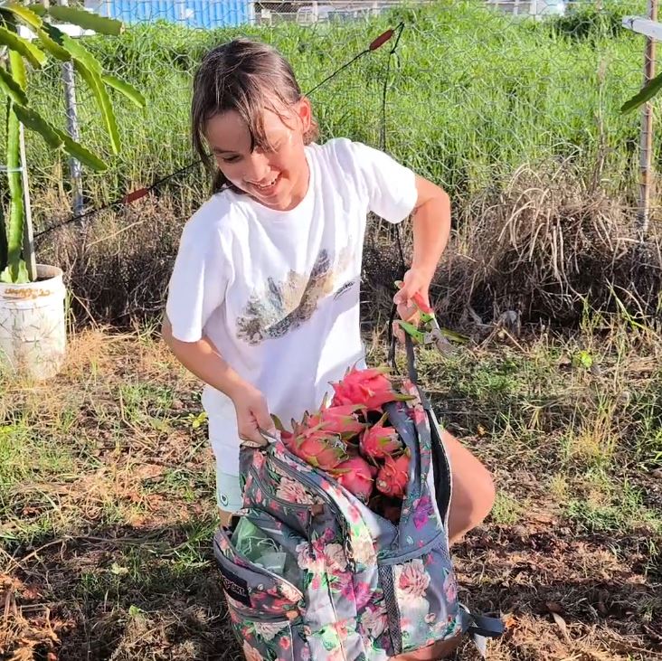 まえだファーム - 沖縄県恩納村で無農薬で動物たちと一緒にドラゴンフルーツを育ててます。